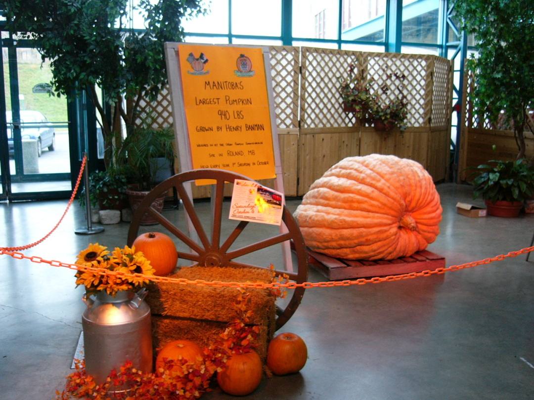 Autumn Retail Display - Creating A Scene Inc.